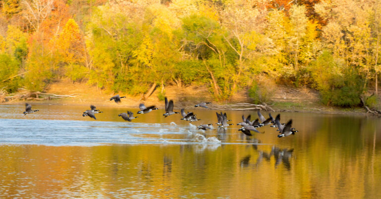 Meramec Greenway: Meramec Bridge Feasibility Study - Great Rivers Greenway